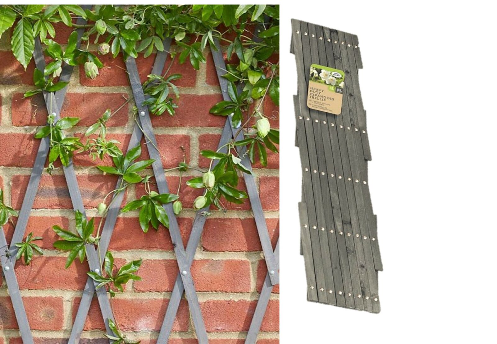 Smart Garden 1.8m x 0.9m Expanding Trellis - Slate 6328231 at Wades ...